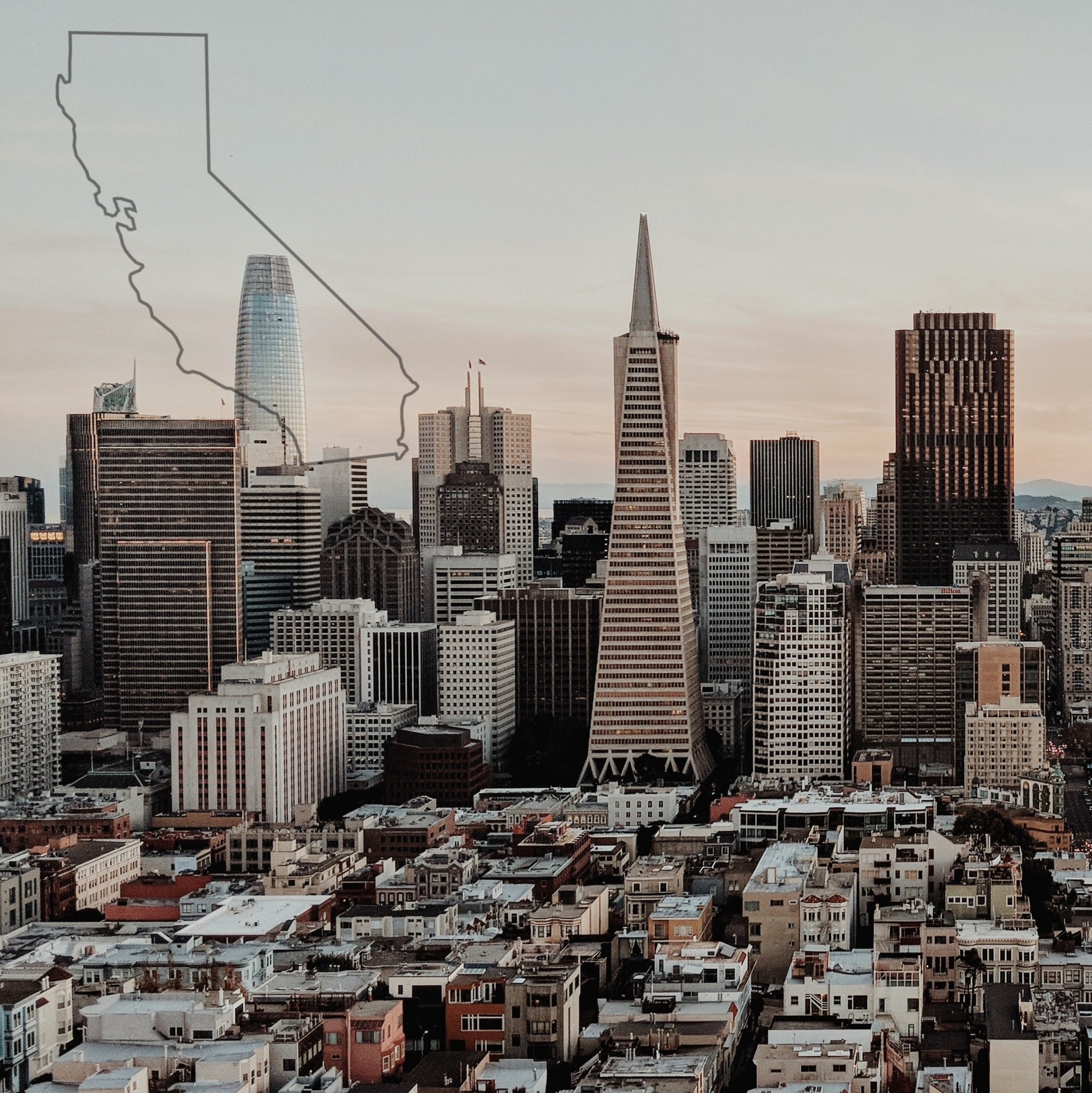 16-Hour Mandatory Bundle | California BSIS Guard Card Training – Defencify