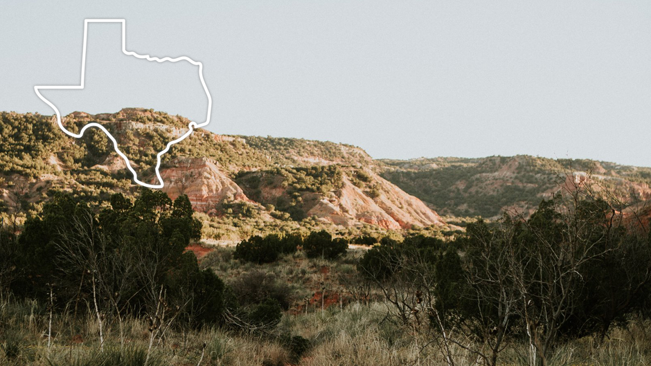 Texas Security Guard Training | Online Certification Courses- Defencify ...