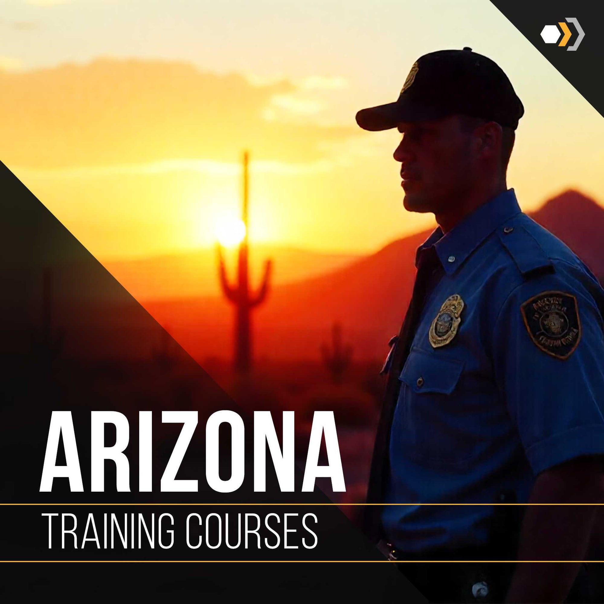 Unarmed Security Guard Training Online | State-Approved Certification ...