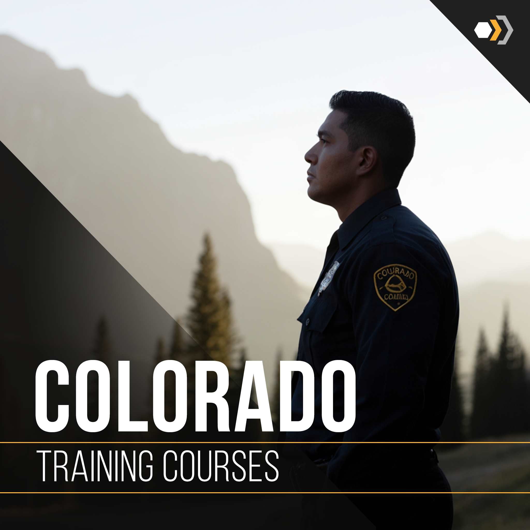 Unarmed Security Guard Training Online | State-Approved Certification ...