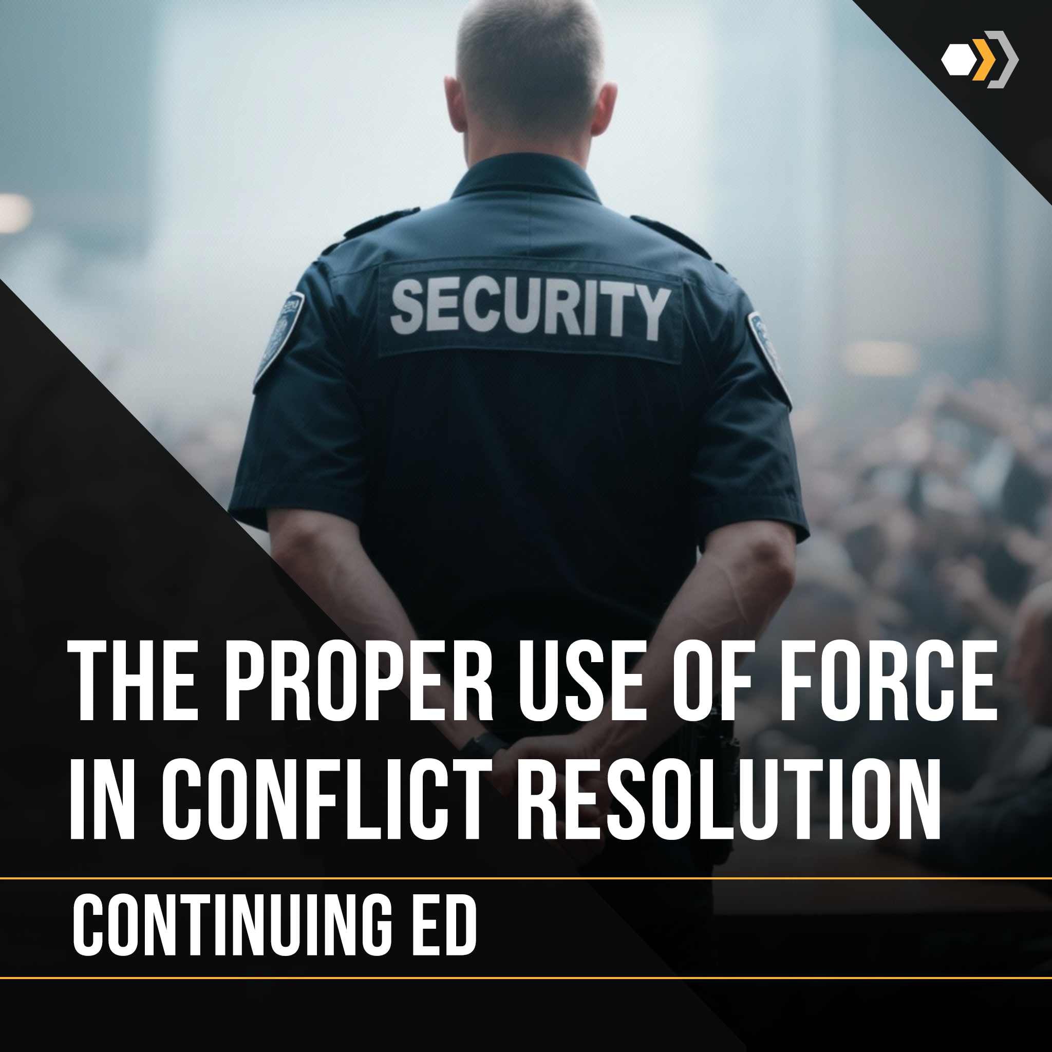 Illinois PERC Card Training: 20-Hour Security Guard Certification Cour ...