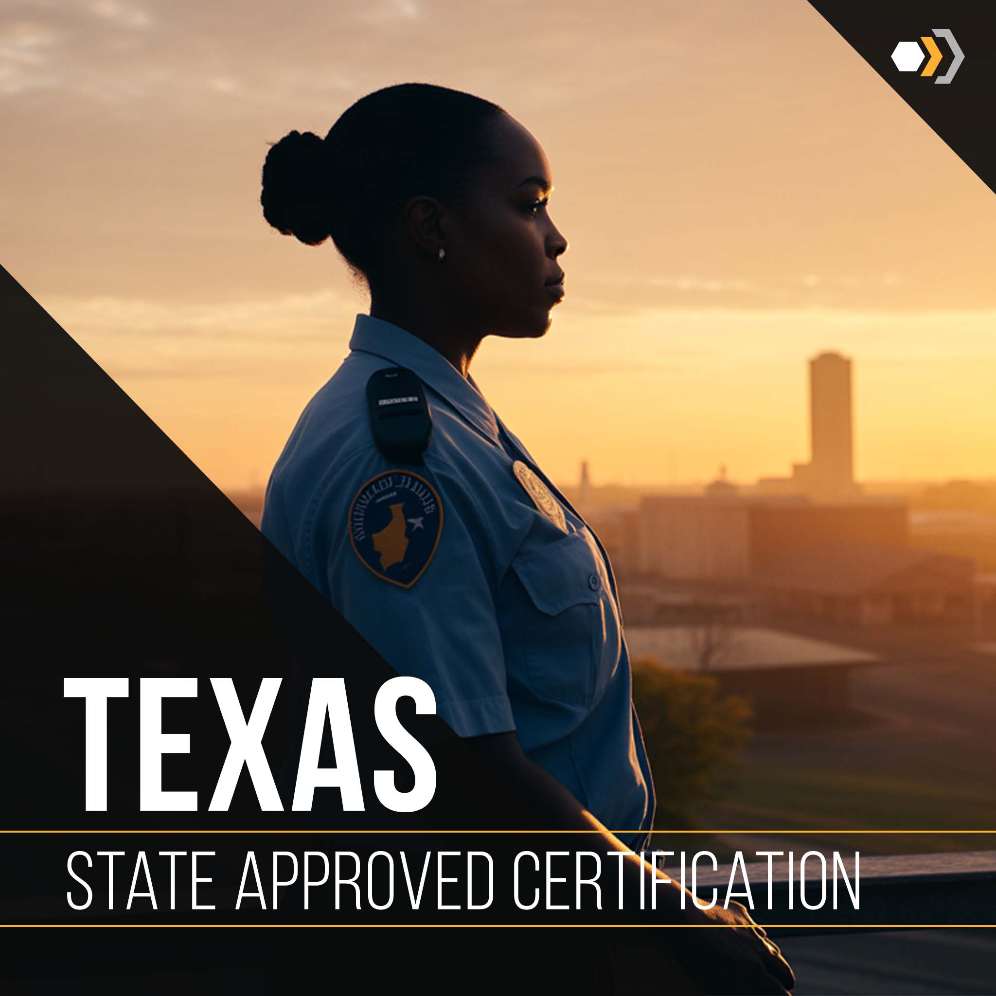Texas Level II Non-Commissioned License Training Course – Defencify